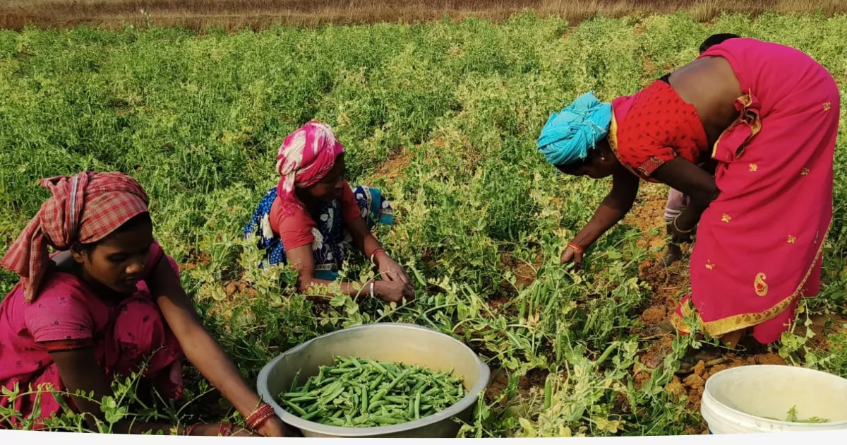 Empowering Communities | GOPA