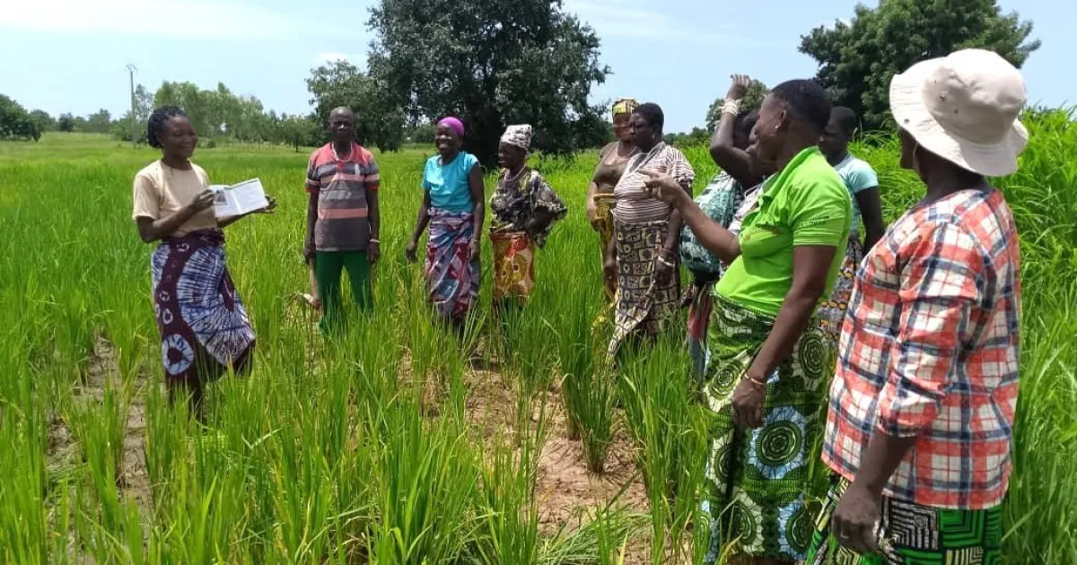 UN International Year of the Woman Farmer – Insights from GOPA AFC’s ...